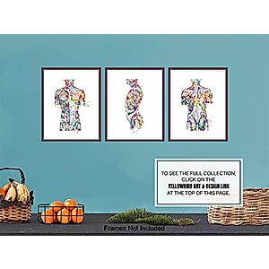 Modern Human Anatomy Room Decorations - Gift for Doctor, Nurse, Physicians Assistant, RN - Room Decor Wall Art Set for Medical Office, Home, Apartment, Living Room - Set of 3-8x10
