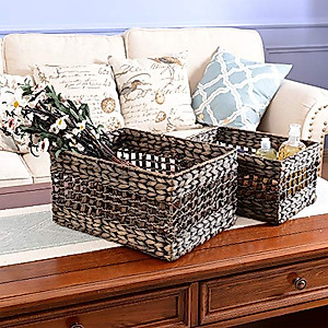 Villacera Rectangle Hand Weaved Wicker Baskets made of Water Hyacinth | Nesting Black Seagrass Bins | Set of 2