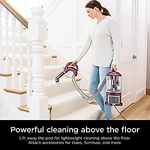 Shark CU520 Navigator Lift-Away XL Upright Vacuum Multi Surface Floor Cleaner with Crevice Tool, Purple (Renewed)