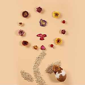 BUCATSTATE Hamster Corn Cob Bedding & Litter 1KG/2.2LB Natural Odor Control for Dwarf Hamster Pet Birds and Small Animals