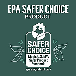 Seventh Generation Dish Soap Liquid, Fragrance Free, 19 oz, Pack of 6