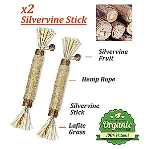 (12Pack) Catnip Toys, Silvervine Cat Toy, Cat Toys for Indoor Cats, Silvervine Sticks,Catnip Balls, Cat Nip Mice,Silver Vine Organic Chew Toys, Kitten Teething Toys,Interactive Plush Feather Kicker