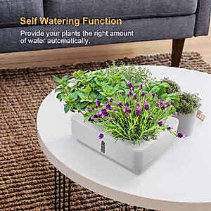 Indoor Herb Garden Gifts New Home Decor, Hydroponics Growing System, Herb Garden, Plant Germination Kit Aeroponic Herb Vegetable Growth Lamp Countertop with LED Grow Light Hydrophonic Planter Grower