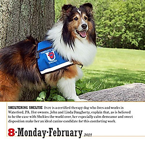 365 Dogs Page-A-Day Calendar 2021