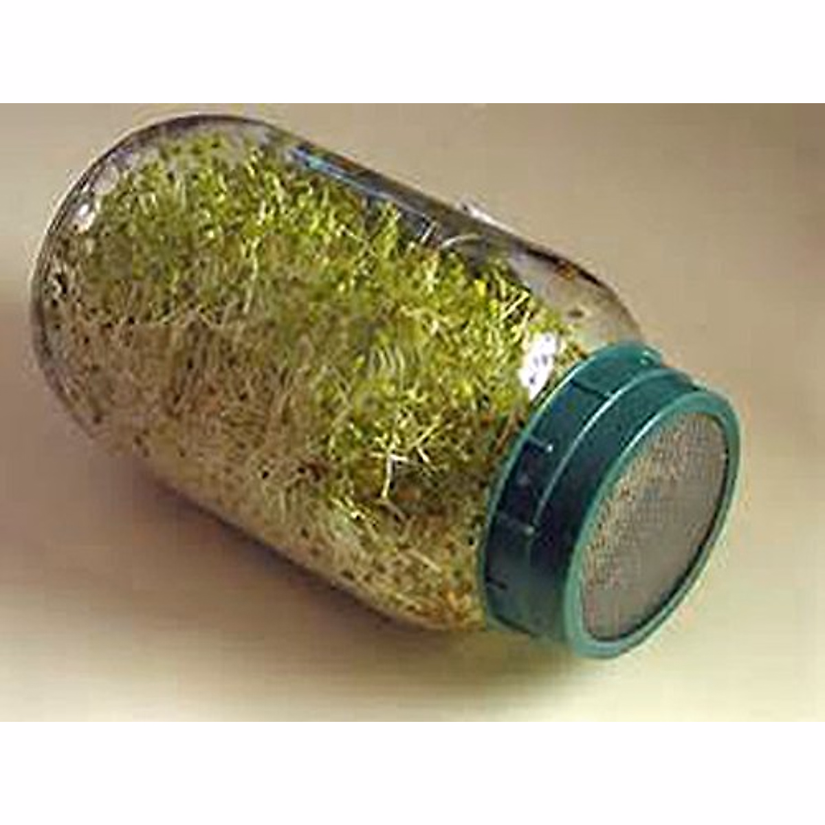 Alfalfa Sprouting Seed, NON GMO -8 Oz -Country Creek LLC Brand - High Sprout Germination- Edible Seeds, Gardening, Hydroponics, Growing Salad Sprouts, Planting, Food Storage & More