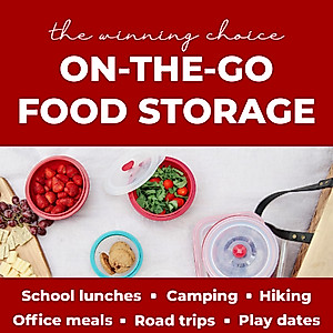 Collapse-it Silicone Food Storage Containers - BPA Free Airtight Silicone Lids, 4 Piece Variety Set of 4-Cup Collapsible Lunch Box Containers - Oven, Microwave, Freezer Safe with Bonus eBook