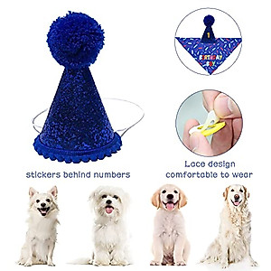 Dog Birthday Bandana Scarf, Boy Dogs Birthday Hat with Number, Doggy 1st Birthday Party Supplies for Small Medium Dog Puppy Outfits (Blue)