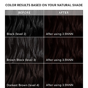 Madison Reed Ultimate Hair Color Trio - Brunette, Color & Maintain with Radiant Hair Color Kit in Ravenna Brown 3.5NNN, Color Reviving Gloss & Color Therapy Color Depositing Hair Mask