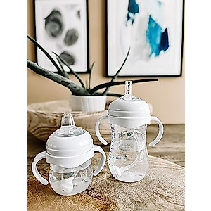 Sippy Cup Conversion Kit for Philips Avent Natural Baby Bottle | 2-Count | with Soft Silicone Sippy Spout Nipples, Weighted Any Angle Straw Ball, Bottle Handles and Straw Cleaning Brush (Sippy Spout)