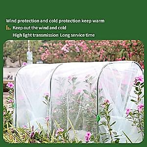 Mini Greenhouse for Outdoor Indoor, Small Green House for Garden, Backyard, Patio, Balcony, Portable Clear Tent for Plants 39.3''x23.6''x21.6'' HOORY