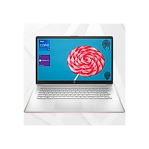 HP 2023 Essential 17t Business Laptop, 17.3" HD+ Touchscreen, Intel Core i7-1355U, 64GB RAM, 2TB SSD, Webcam, HDMI, Backlit Keyboard, Fingerprint Reader, Wi-Fi 6, Windows 11 Pro, Pale Rose Gold