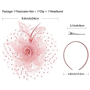 DRESHOW Fascinators Hat Flower Mesh Ribbons Feathers on a Headband and a Clip Tea Party Headwear for Girls and Women