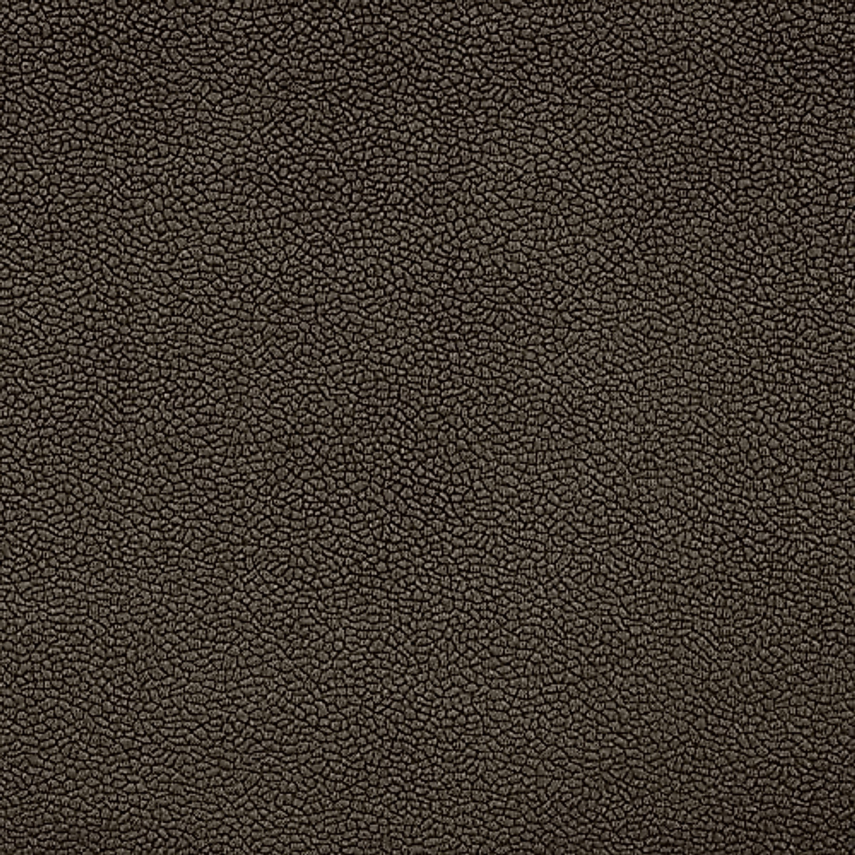 Lexicon Leighton Fabric Loveseat with 2 Pillows, 57" W, Chocolate