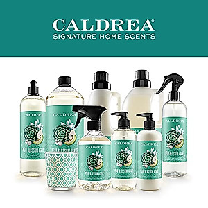 Caldrea Hand Wash Soap, Aloe Vera Gel, Olive Oil And Essential Oils To Cleanse And Condition, Pear Blossom Agave Scent, 10.8 Oz (Pack of 2)