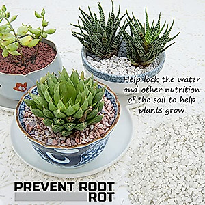 2 lb. Pebbles for Plants, Drainage Rocks for Potted Plants, Terrarium Succulent Bonsai Cactus Rocks Stones | Aquarium Pebbles for Fish Tank