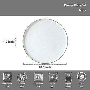 S&Q'S CERAMICS S&Q Dinner Plates Set of 6, 10.5 inch Matte Off-White Plates Ceramic Dinnerware Serving Dishes for Kitchen, Microwave and Dishwasher Safe, Scratch Resistant (Glazed Matte Off-White)