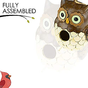 Hanging Decorative Resin Bird House | Hand Crafted Outdoor Home & Garden Décor for Wild Birds, Hummingbird, Cardinal, Finch, Bluebird | Owl