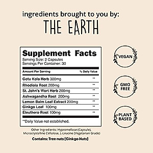 Joy-Filled Mood Support Supplement with St Johns Wort | Helps Calm The Mind & Body, Stress Relief Energy Supplements | 100% Plant-Based | Ashwagandha, Rhodiola, Eleuthero | Herbal Adaptogens, 60 ct