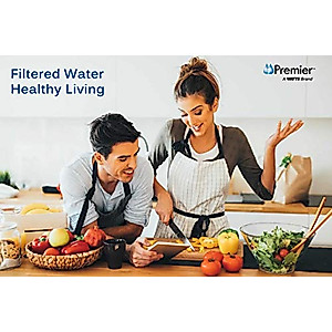 Watts Premier WHT WH-LD Whole House 50-Micron Sediment Water Filtration Kit, White