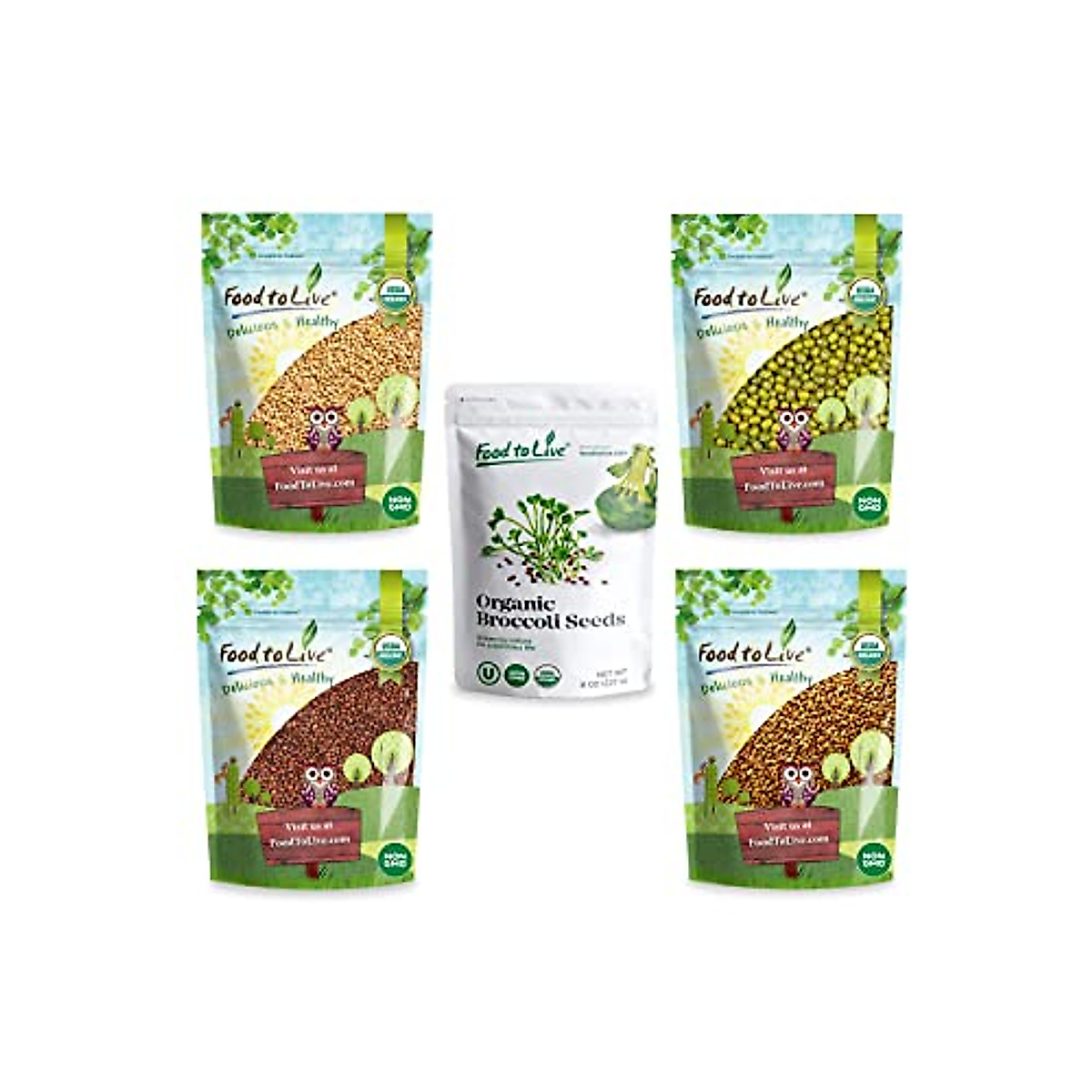 Organic Sprouting Seeds in a Gift Box - A Variety Pack of Broccoli Seeds, Alfalfa Seeds, Radish Seeds, Mung Beans, Clover Seeds