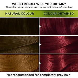 Garnier Nutrisse Ultra Permanent Colour 5.62 Vibrant Red
