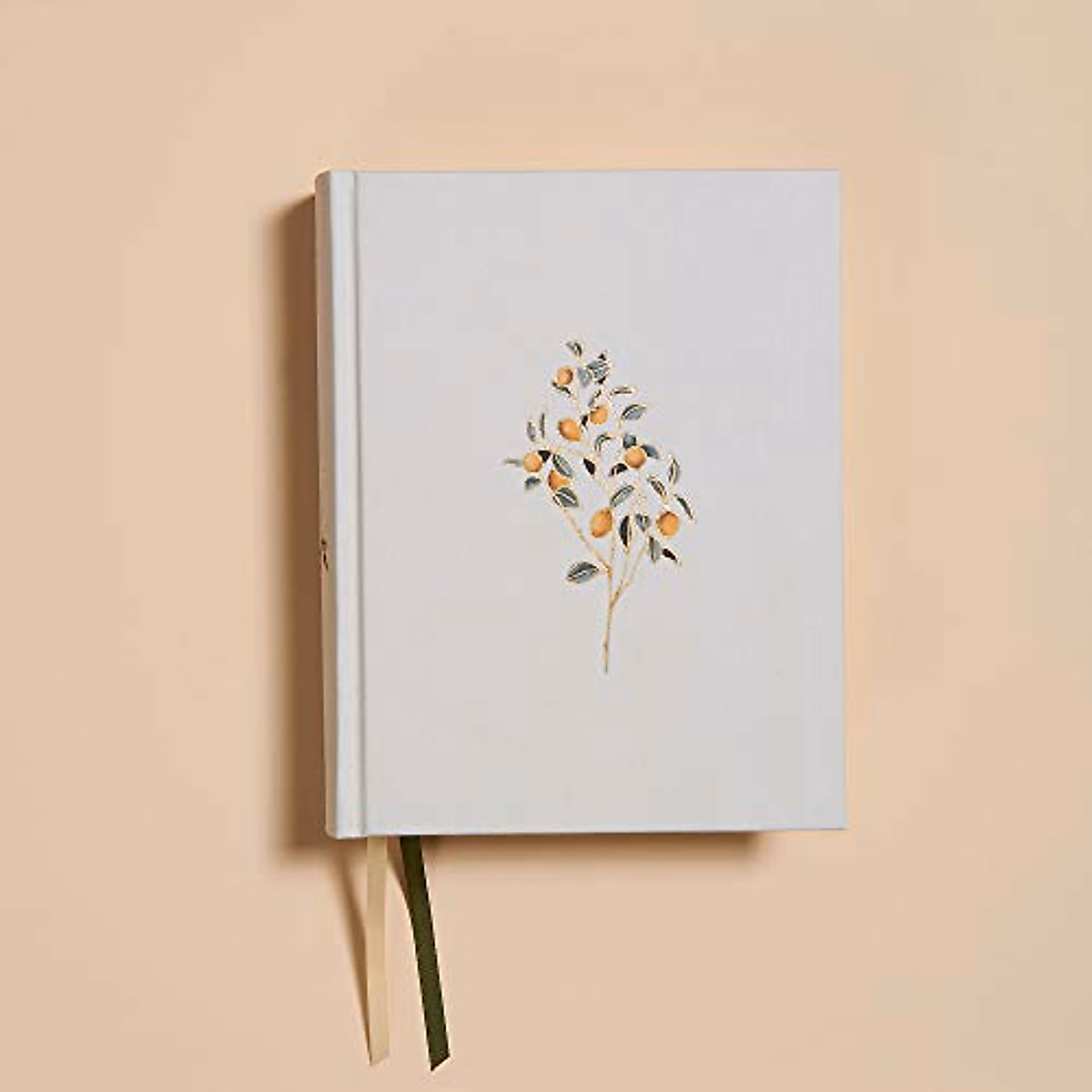 CSB Notetaking Bible, Hosanna Revival Edition, Lemons Cloth Over Board, Black Letter, Single-Column, Journaling Space, Reading Plan, Easy-to-Read Bible Serif Type