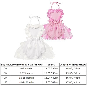 Baby Girls 1st Birthday Outfit Heart Lace Romper Flower Tutu Princess Dress with Tulle Skirt Sleeveless Backless Jumpsuit Sunsuit Playwear Dress Cake Smash Photo Shoot Clothes Pink Flower 18-24 Months