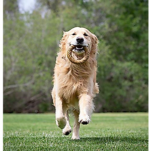 Pet Qwerks Chew Ring BarkBone - Durable Dog Toys for Moderate & Aggressive Chewers - Peanut Butter Flavor - 5.75"