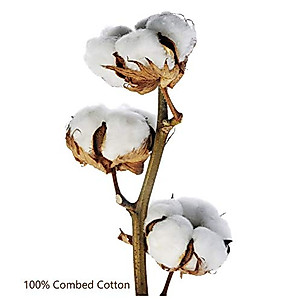 Glamburg 100% Soft and Breathable Cotton Thermal Blanket Twin Charcoal - Perfect for Layering Any Bed for All Season