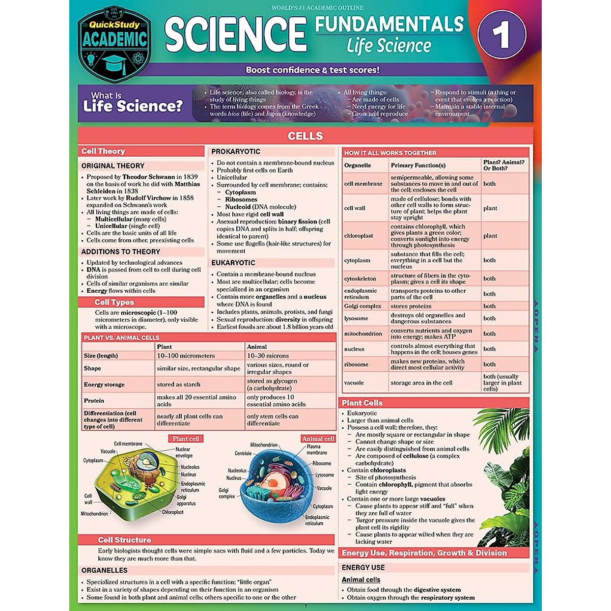 Science Fundamentals 1 - Life Science - Cells, Plants & Animals: QuickStudy Laminated Reference & Study Guide (QuickStudy Academic)
