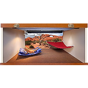 CAROLINA CUSTOM CAGES Reptile Habitat Background, Arch with Tree, 15.75" x 36"