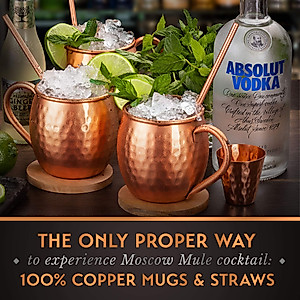 Yooreka Gift Set Moscow Mule Mugs Set Of 4 16 oz Solid Cooper, 100% Pure Copper Cups Cylindrical Shape HANDCRAFTED,BONUS 4 Straws, 4 Wood Coasters, Stirring Spoon, Cleaning brush (Oval)