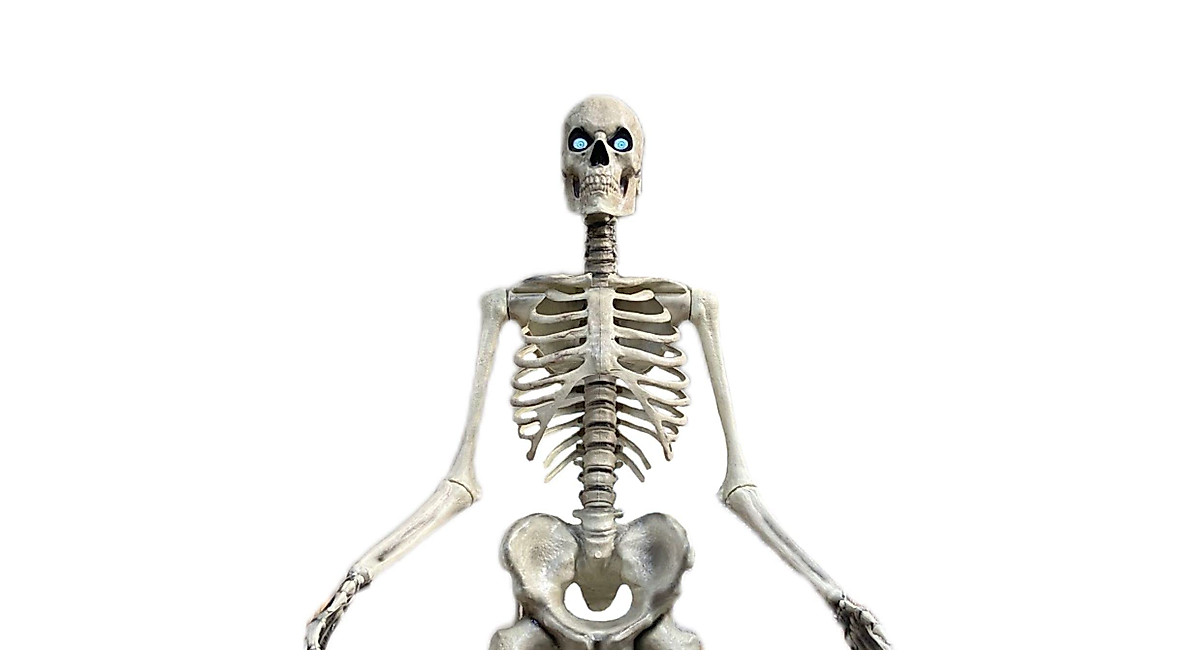 Giant-Sized 12 ft Skeleton with LifeEyes