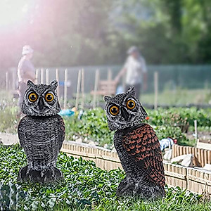 Hausse 2 Pack Bird Scarecrow Fake Owl Decoy Sculpture, Rotating Head Plastic Owl Bird Deterrents, 10.6 Inch Height Nature Enemy Horned Pest Repellent for Outdoor Garden Yard