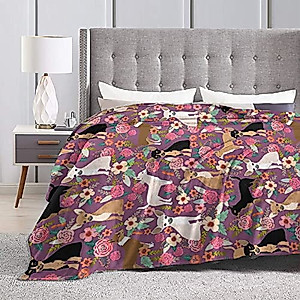 HAZIMCS Flannel Fleece Plush Throw Blanket,Chihuahua Dog Breed Floral pet Gifts Perfect Present Pattern Throw for Spring Recliner, Air Conditioning Blanket Quality Washable 50x40 inch, Black