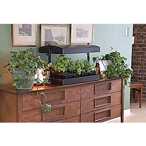 SunBlaster LED Indoor Growlight Garden, Home Growing Kit