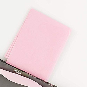 Christian Art Gifts Landscape Gift Bag and Tissue Paper Set - Strength and Dignity - Proverbs 31:25 Inspirational Bible Verse, Pink/Grey Floral, Large