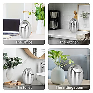 Agirlgle Mini Trash Can with Lid- Durable Stainless Steel Desk Trash Can Mini with Stylish Egg Shaped Design- Countertop Trash Can for Home, Office, Kitchen & More- Tiny Desktop Trash Can with Lid