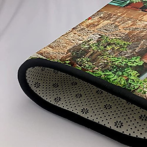 Soft Area Rug Non Slip Washable for Indoor,Streets of Old Mediterranean Towns Provence Landscape Flower Door Windows,Large Floor Carpets Doormat Covering Living Room Bedroom 4 x 5.3Ft