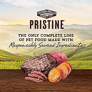 Castor & Pollux Pristine Grain Free Dry Dog Food Grass-Fed Beef & Sweet Potato Recipe with Raw Bites - 4 lb Bag