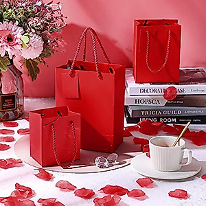 12 Pieces Valentine Red Gift Bags with Handles, Mini Medium Large Paper Euro Totes Gift Bags, Red Paper Gift Wrap Bags with Cards for Xmas Holidays Birthdays Baby Shower Party