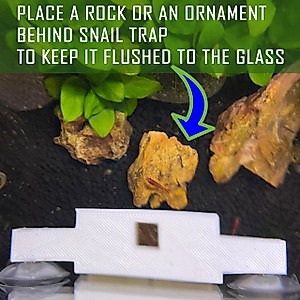 3DAquaticSolutions Snail Trap for Aquarium, Pest Snails Catcher Overnight, Leave Trap in Your Tank with Foods to Attract Snail, Easy to Use and Effective