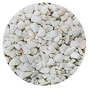 Spectrastone Special White Aquarium Gravel for Freshwater Aquariums, 5-Pound Bag