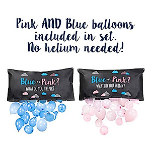 Pop Fizz Designs | Gender Reveal Balloon Drop Bag | Blue or Pink?