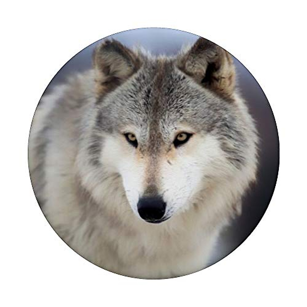 Wolf Animal Wolves PopSockets Swappable PopGrip
