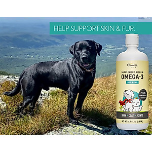 Camelina Oil for Dogs & Cats, 500mL by Olimega Farm | High in Omega-3 & Vitamin E | Support for Healthy Joints, Coat & Skin | Alternative to Salmon Oil for Dogs | Made in Canada | Non-GMO