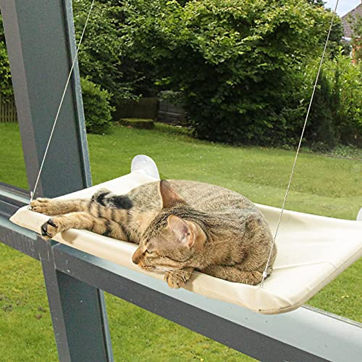 Cat Window Perch, Cat Window Hammock, Window Perch for Cats Inside Up to 50lbs