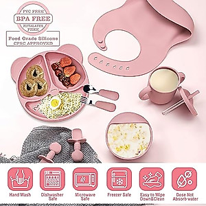 Silicone Baby Feeding Set 10 Pack, Baby Led Weaning Supplies with Suction Bowl Divided Plate, Toddler Self Feeding Dish Set with Bib and Plate, Spoon and Fork, Nipple and Teether, Sippy Cup and Lid