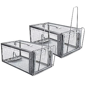Gingbau Live Traps for Chipmunks Rats and Mice (Set of 2)