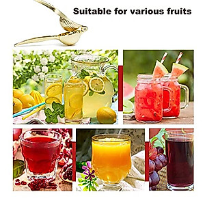 Agirlvct Lemon Squeezer, Heavy Duty Zinc Manual Lemon Juicer, Threaded Groove Fresh Small Oranges Limes Juicer Hand Press Manual Press for Home Restaurant Kitchen Accessories Utensils(Gold)